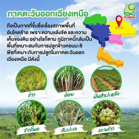 การเพาะปลูกของคนไทย
