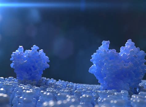 Technologies And Methods Creative Biostructure