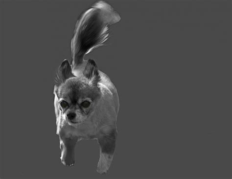 Richard Bourdeau 攝影