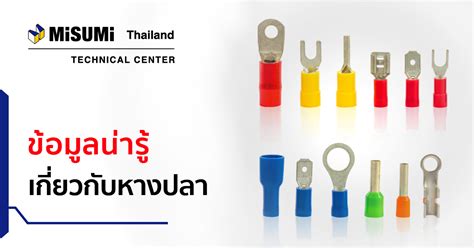 ข้อมูลน่ารู้เกี่ยวกับ หางปลา Crimp Terminal Misumi Technical Center
