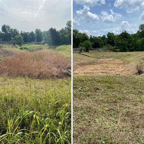 Examples Of Our Services Non Selective Weed Control Our Advanced