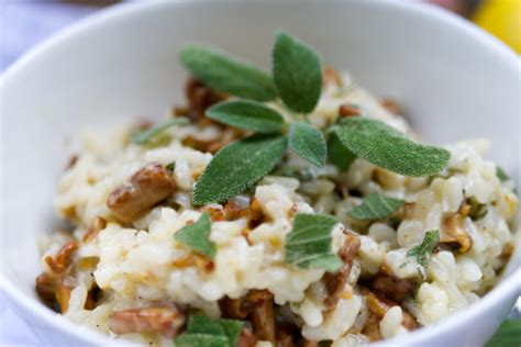 Pfifferling Risotto Mit Salbei Und Zitrone Panama Quadrat
