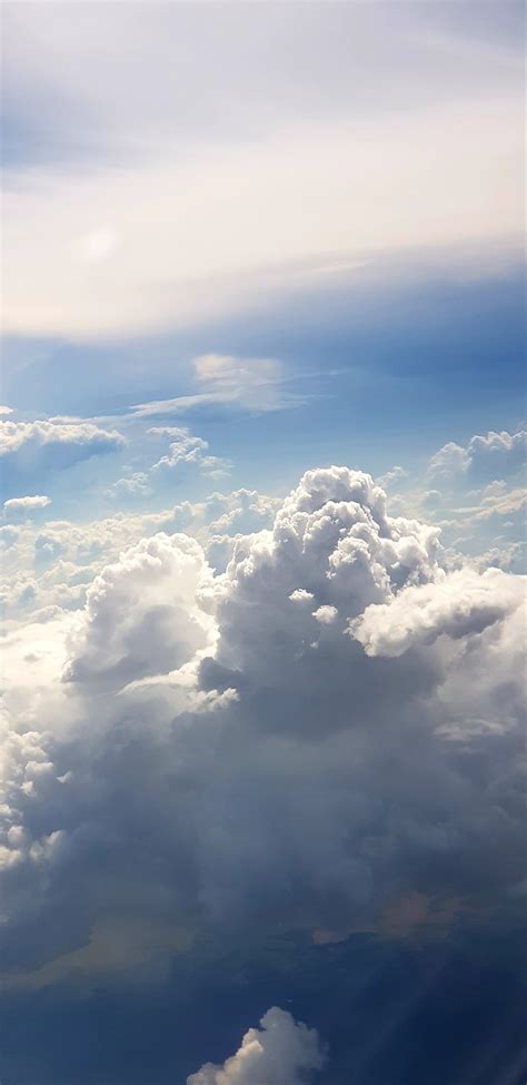 하늘 비행 평면 Pixabay의 무료 사진 Pixabay