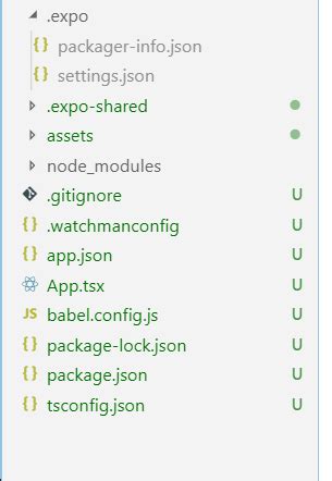 Reactjs React Native Android App Build Gradle File Missing Stack