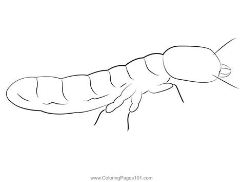 Drawing Of Soldier Termite At Eva Gopinko Blog
