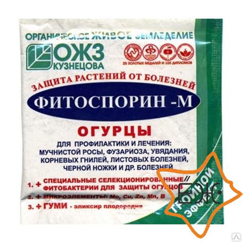 Фитоспорин для огурцов: применение при болезнях и правила обработки