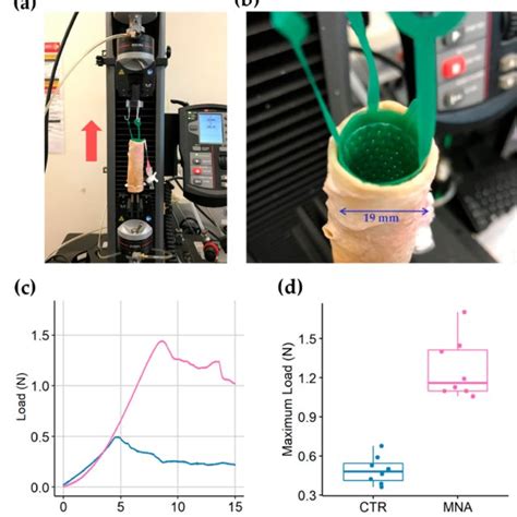 Fabrication Of The Microneedle Array A Schematic Of The Microneedle