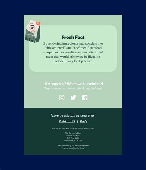 Things To Include In Your Email Footer Tips Examples Mailmunch