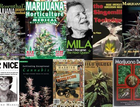 Piattella Hash How To Make Premium Full Melt Bubble Hash Hsc