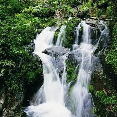 藏龙百瀑景区景点信息 排行榜123网