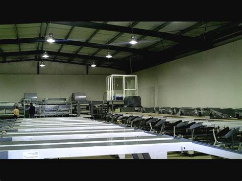 processing sorting grading sizing and packing line for kiwis