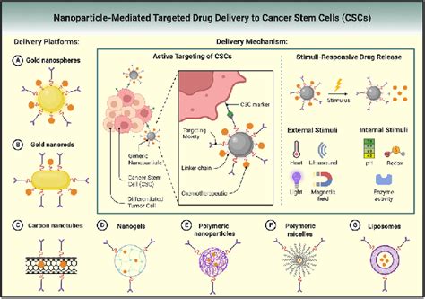Active Targeting Wherein Ncs Surface Decorated With Ligands Interact