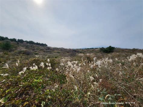 제주도 추천오름 [바농오름] 네이버 블로그