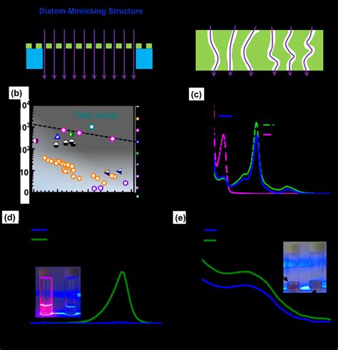 A Schematic Showing The Solution Diffusion Through The Membranes B Download Scientific