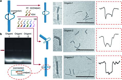 Dynamic Control Of Origami Structures A Schematic Of Structural