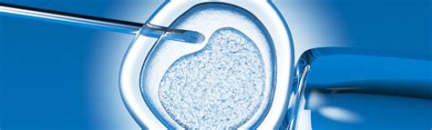 Biocentury Germline Editing Gets Technical