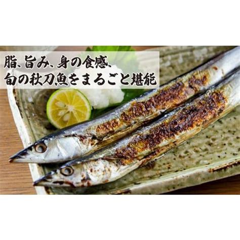 ふるさと納税 干物 三重県 尾鷲市 旬 の 美味しさ を閉じ込めた さんま 丸干し 5匹入り×3袋セット 脂 ののった 旬の 国産 秋刀魚 丸