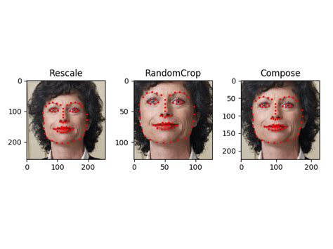 Data Loading And Processing With Pytorch