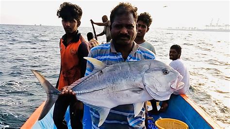 Catching Giant Trevally Fish, Golden Trevally Fish & Blacktip Trevally Fish in the Sea - YouTube