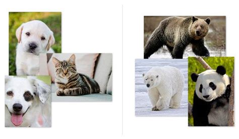 Transfer Learning With Keras And Deep Learning Pyimagesearch