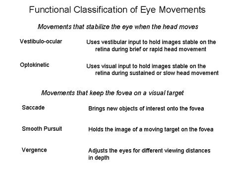 Compensatory Eye Movements John Simpson Functional Classification Of