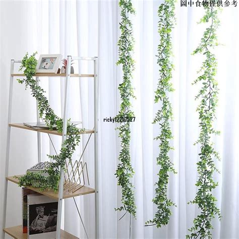 【好物】圓葉尤加利 18米花藤 人造綠植 壁掛植物 假花 人造仿真植物桉樹 藤條尤加利草藤曼 假綠植裝飾 仿真綠植物 蝦皮購物