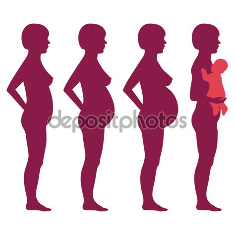 개발의 태아 단계 섹스 사랑 가족 가족 육아에 대한 지식