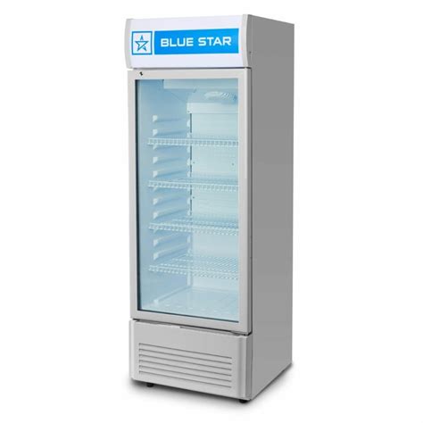 Blue Star Vc325d 300 Liter Visi Cooler Deep Freezers Mart
