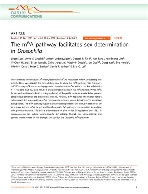 Pdf The M 6 A Pathway Facilitates Sex Determination In Drosophila