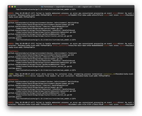 Wings Error When Interacting With A Removed Server · Issue 2428 · Pterodactylpanel · Github