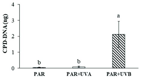 Cpd Dna Levels Ng Of Sargassum Filipendula After 10 Days Of Exposure
