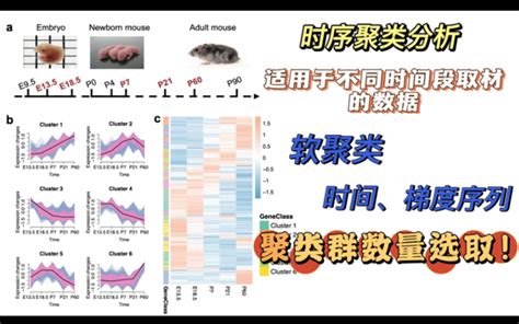 时序差异表达趋势绘制｜软聚类r包mfuzz 高分文章常见的趋势分析图 哔哩哔哩