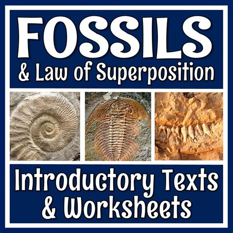 Fossils Reading And Worksheet Set Flying Colors Science