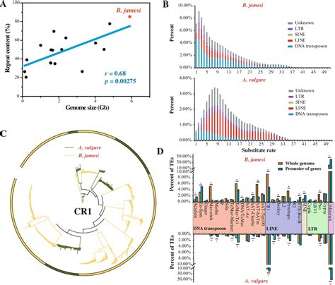 The Evolution Of Transposable Elements Tes And Genome Size A The