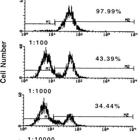 Efficiency Of Egfp Reporter Gene Expression In Neonatal Cells Cells