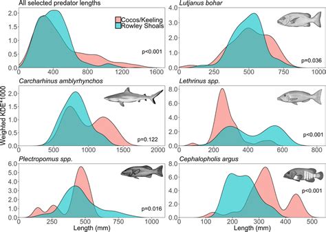 Weighted Kernel Density Estimates Kde For Selected Predators