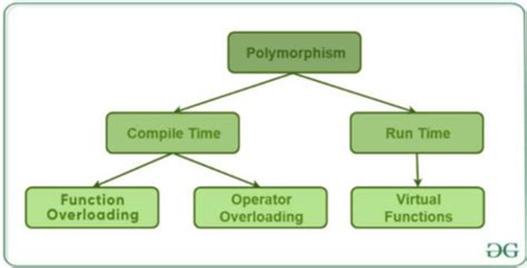 Polymorphism Programming 2 Flashcards Quizlet
