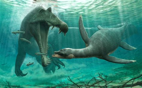 Existence Of Loch Ness Monster Is ‘plausible After Fossil Discovery