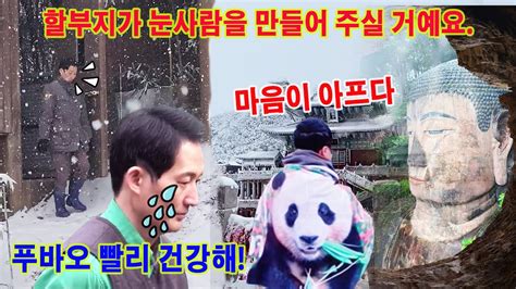 눈이 오는 것을 보고 할부지는 푸바오에게 눈사람을 만들고 싶어하셨어요 ️☃️모든 이모는 우리푸의 평안을 기원하기 위해 절에