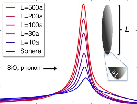 Spectral Near Field Contrast Between The 1130 Cm −1 Surface Phonon
