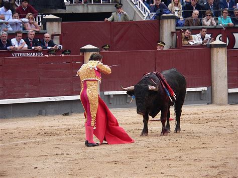 Bullfighting Wikipedia