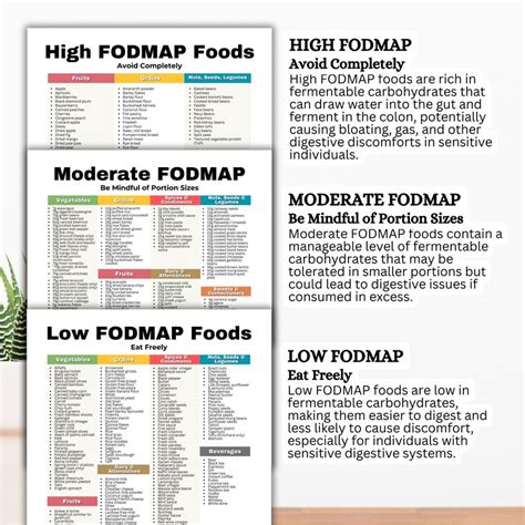 Fodmap Chart Low Fodmap Diet Low Fodmap List Fodmap Food List For