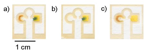 Patterned Paper As A Platform For Inexpensive Low Volume Portable Bioassays Abstract