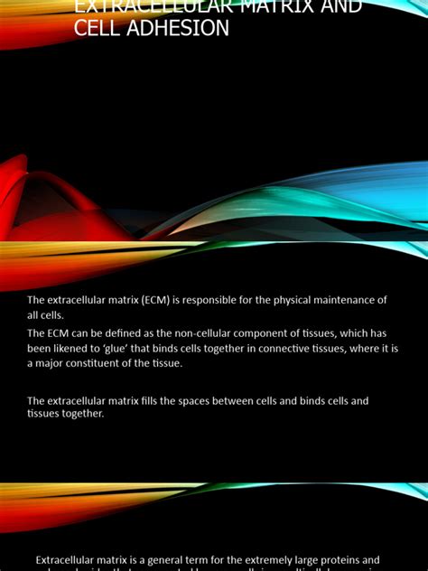 Extracellular Matrix And Cell Adhesion Pdf