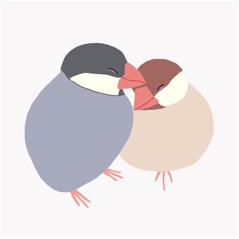 新的10張文鳥插畫 插畫板 Dcard