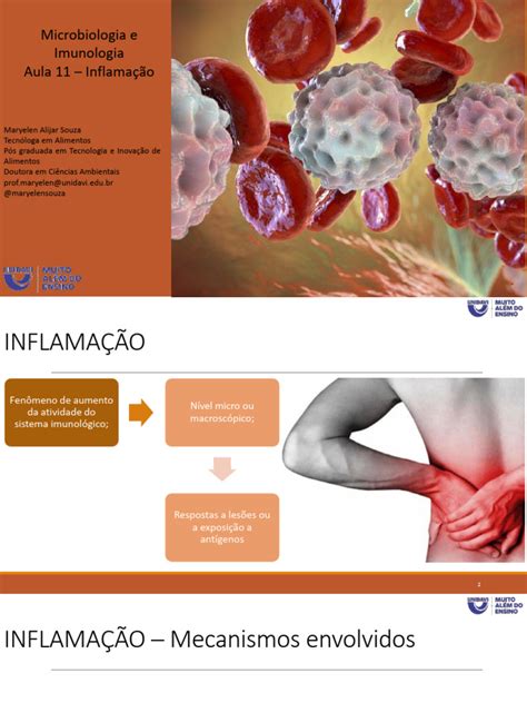 Aula 11 Inflamação Download Grátis Pdf Inflamação Sistema