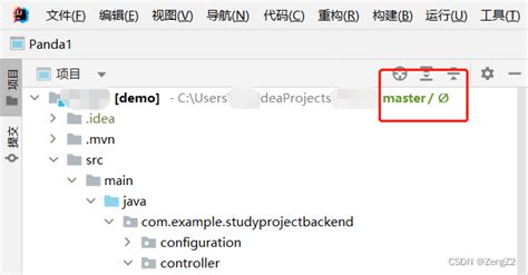 如何使用codearts，以及使用idea创建项目并连接 Csdn博客