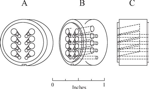 Figure 1 From Short Column Sedimentation Equilibrium Analysis For Rapid