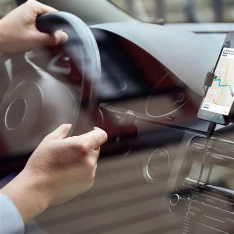 Qué hierbas sirven para la tos según expertos Infobae