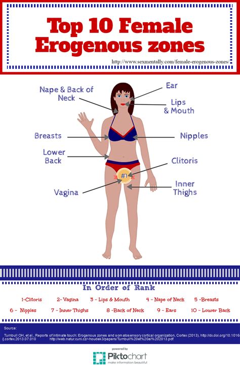 Erogenous Zones Chart Men